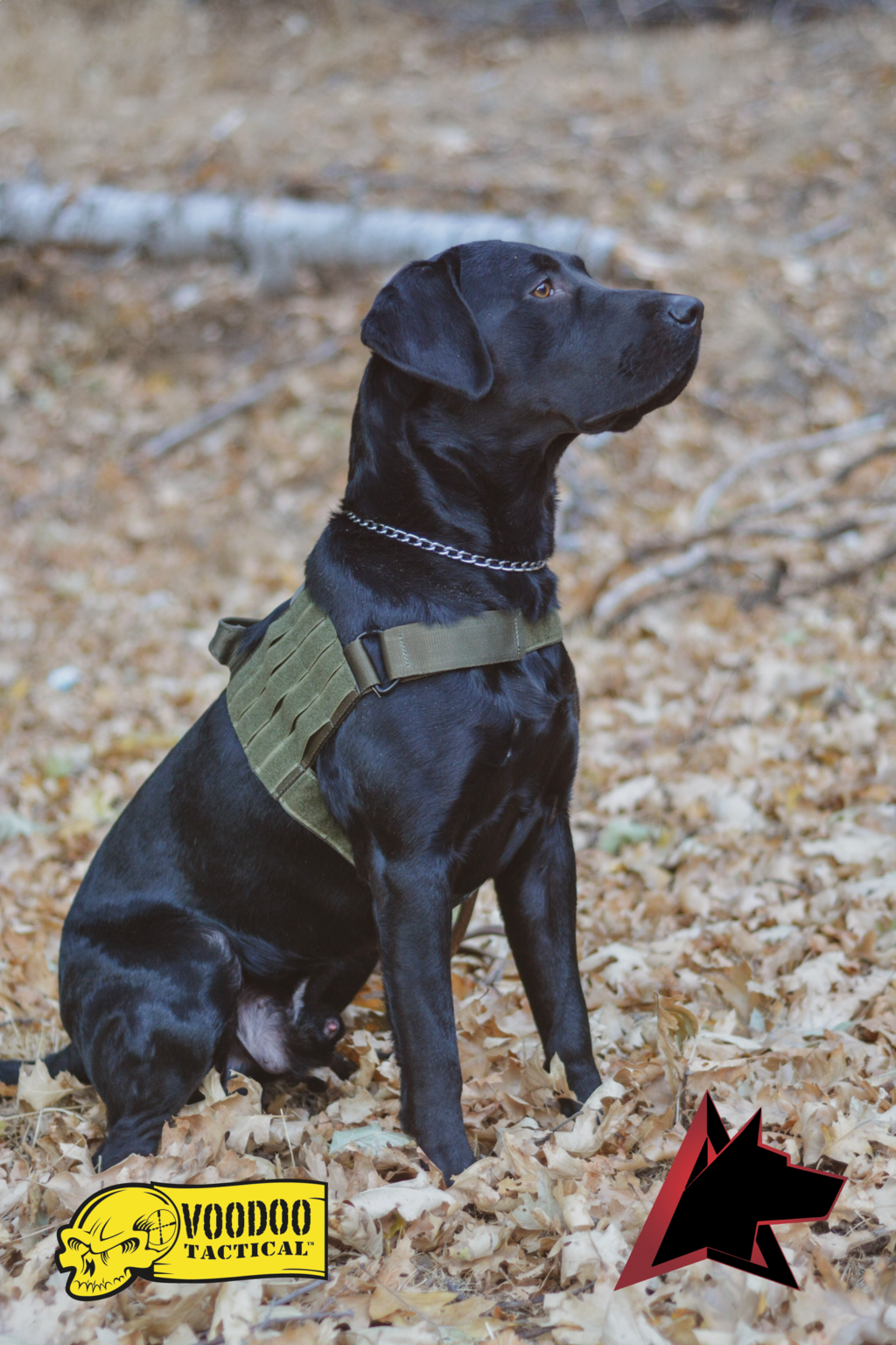 ALPHA K9 MARK I TACTICAL DUTY HARNESS W/ BALLISTIC PANELS - Kejo ...